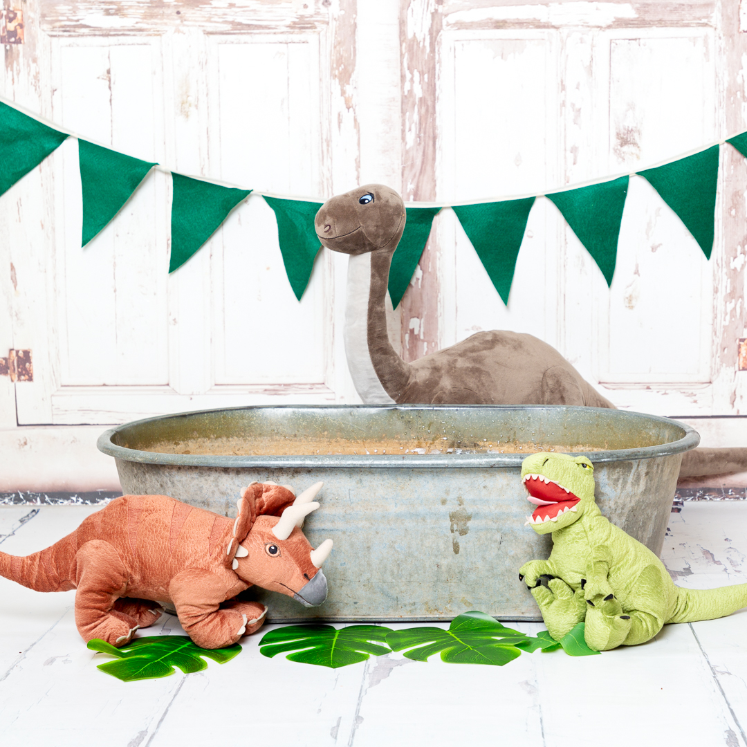 Dinosaurs at a Tub Splash Photo Shoot