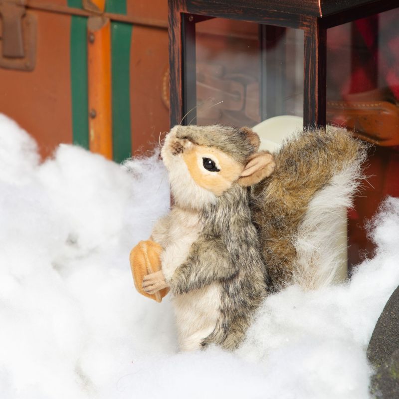 Meet Niblet, the Winter Forager